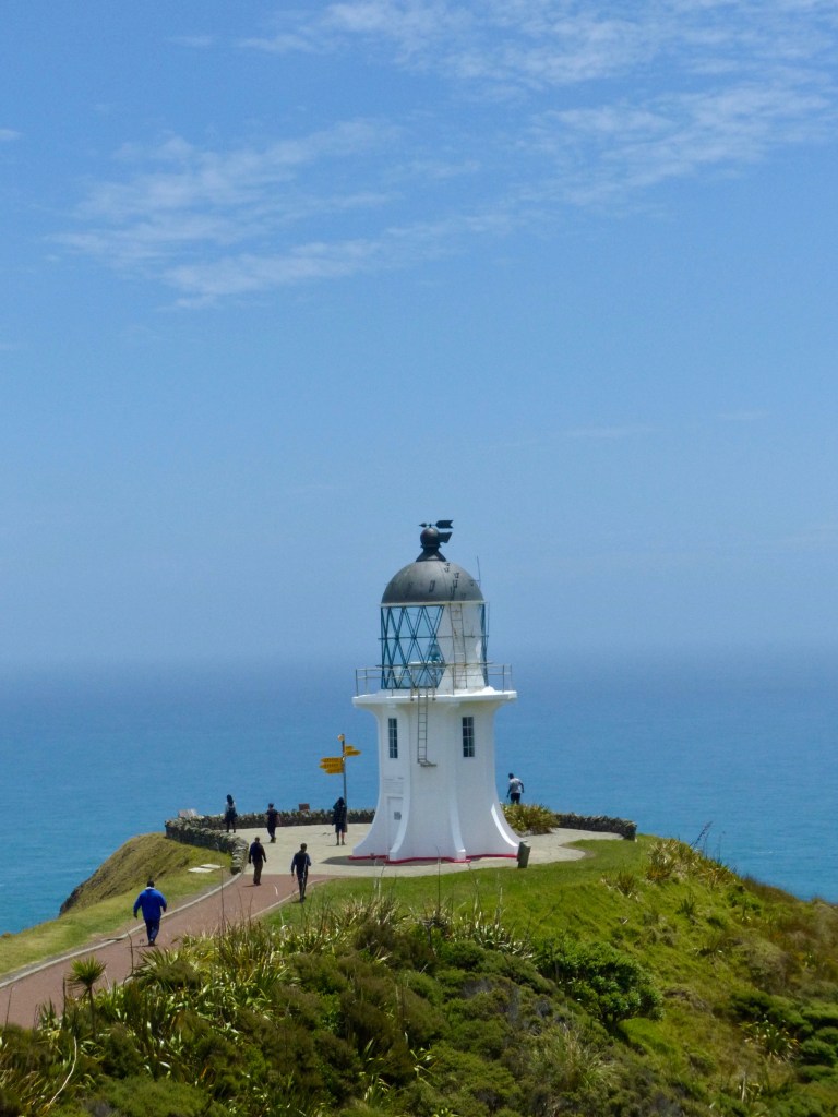 cape-reinga-lighthouse | TravelMyBliss